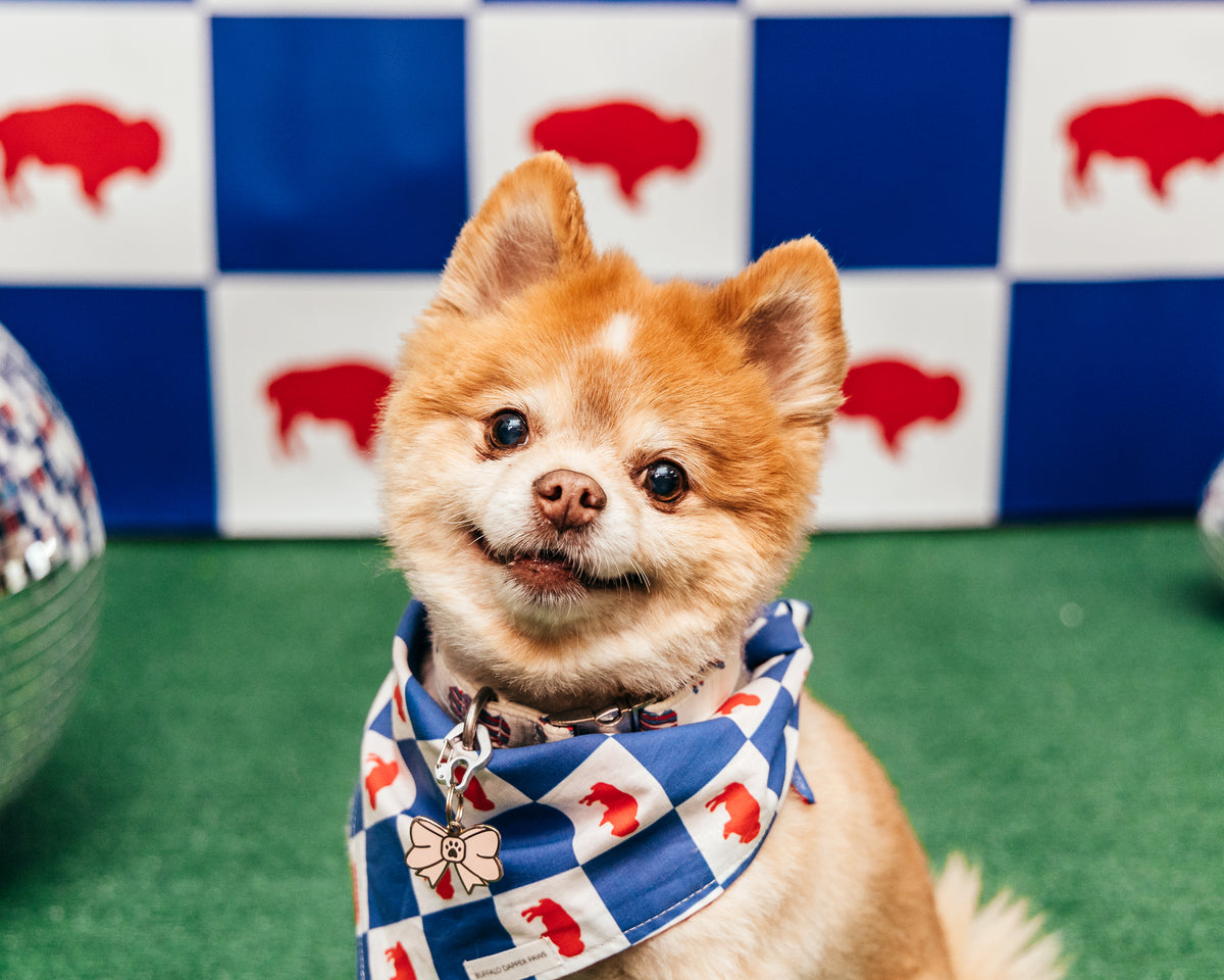 Trendy Buff Dog Bandana | Buffalo Dapper Paws