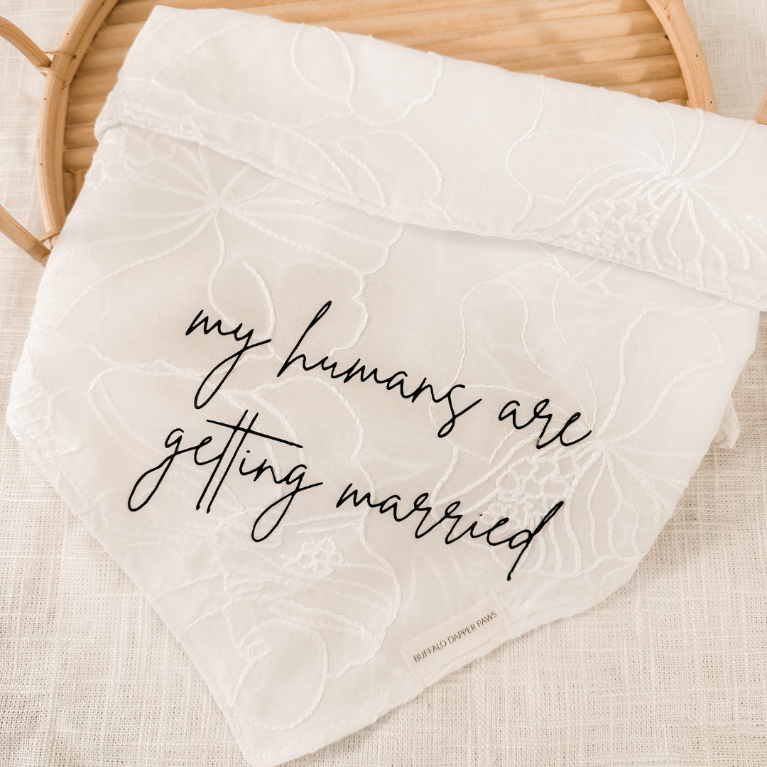 Custom Wedding Dog Bandana | Buffalo Dapper Paws