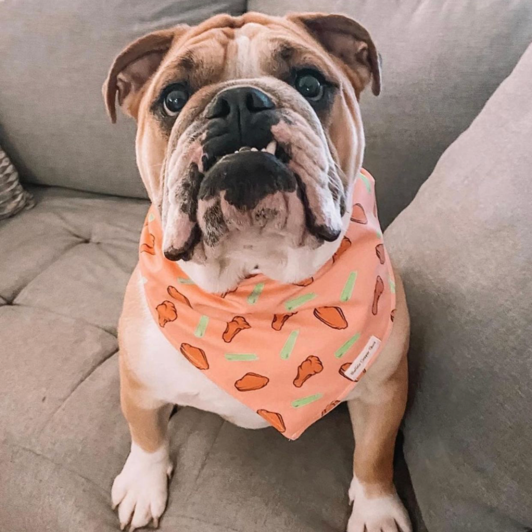 Pink Chicken Wing Dog Bandana | Buffalo Dapper Paws