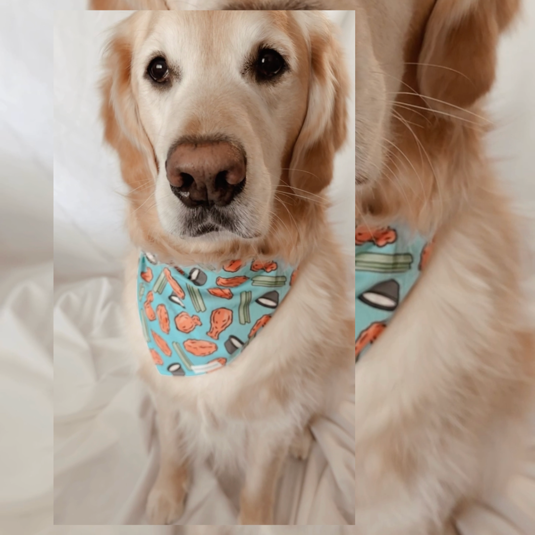 Wings & Blue Cheese Dog Bandana | Buffalo Dapper Paws